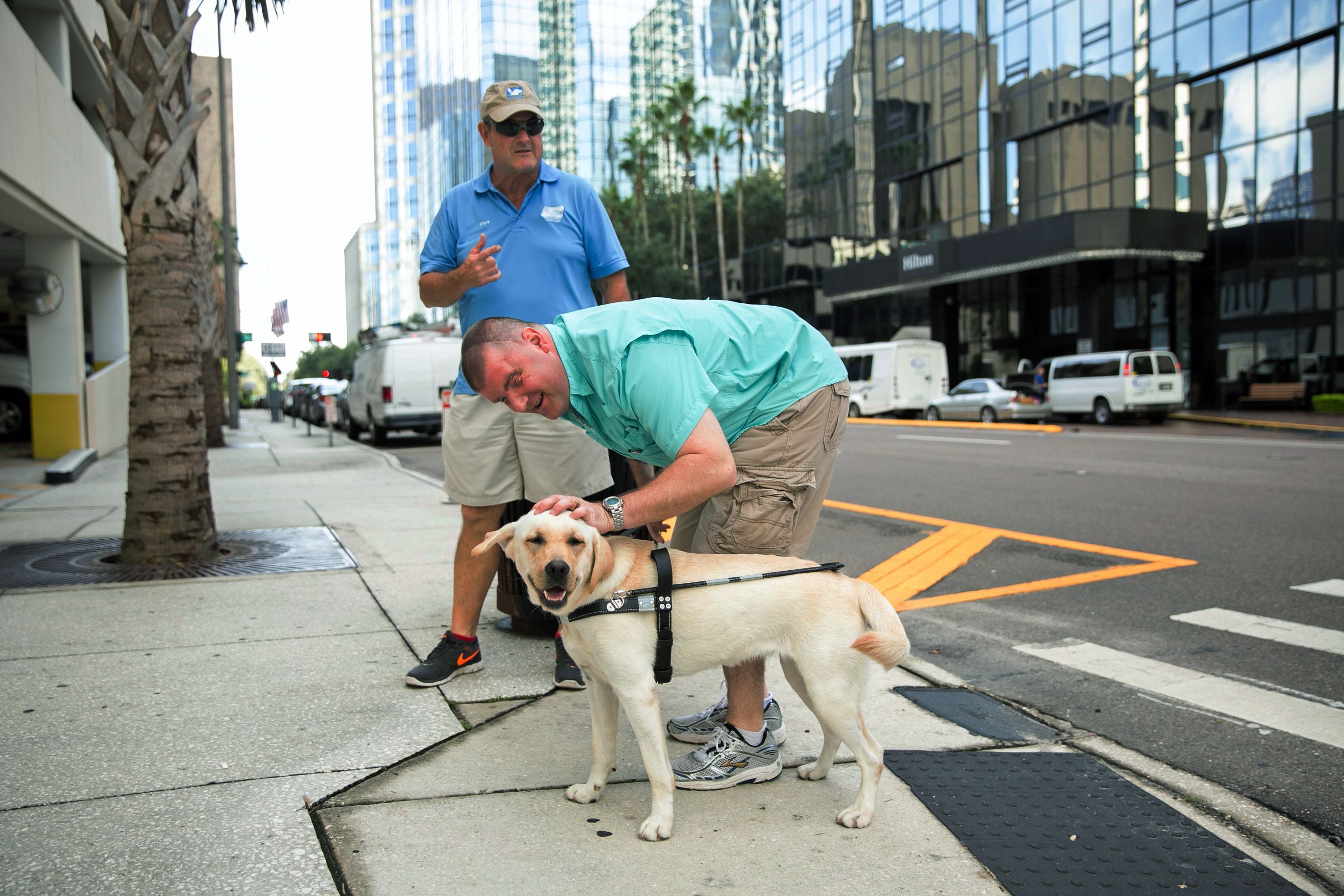 How Does A Guide Dog Know When To Cross The Road