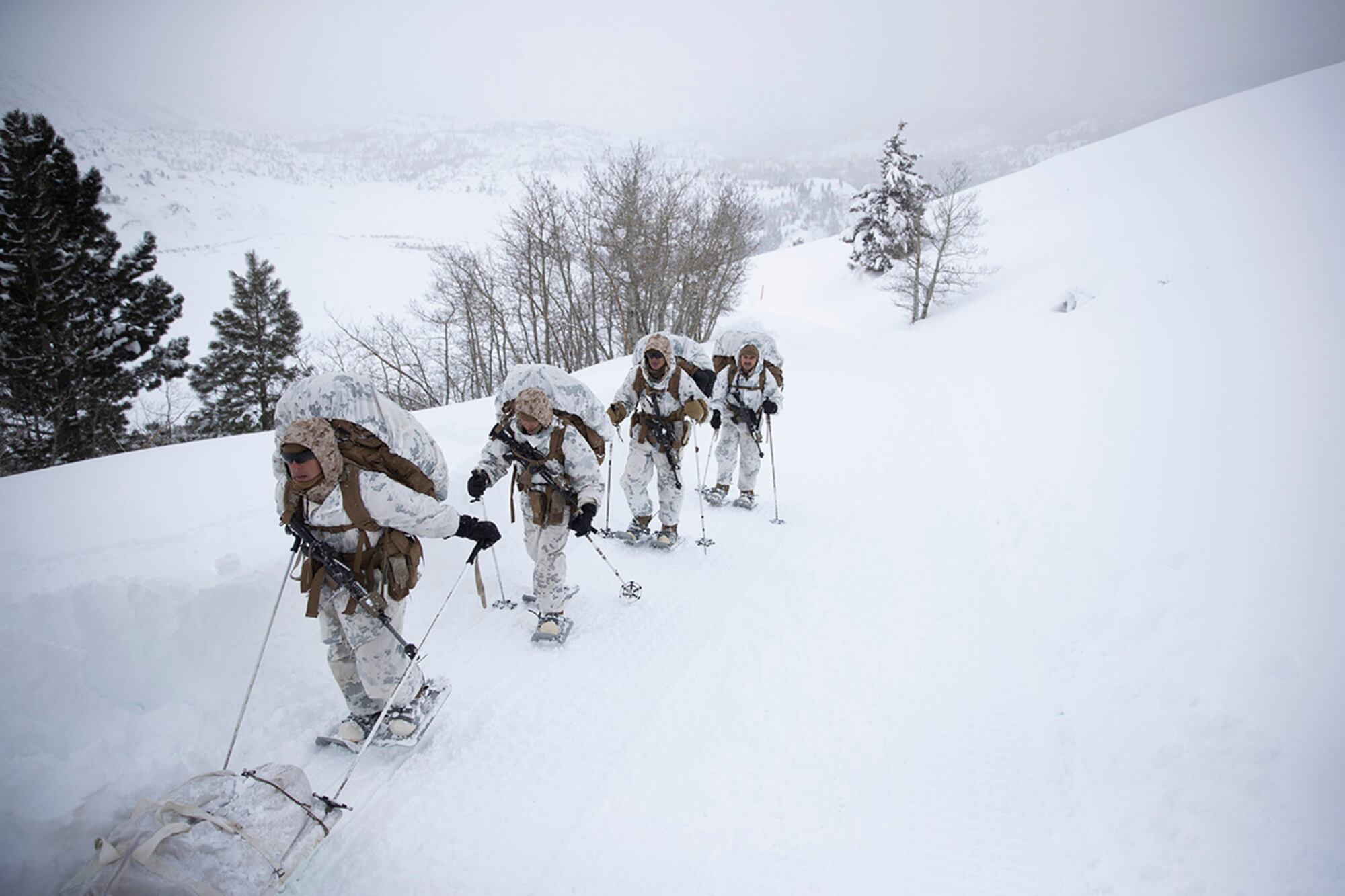 Marine Corps steps up winter-warfare training as global threat shifts