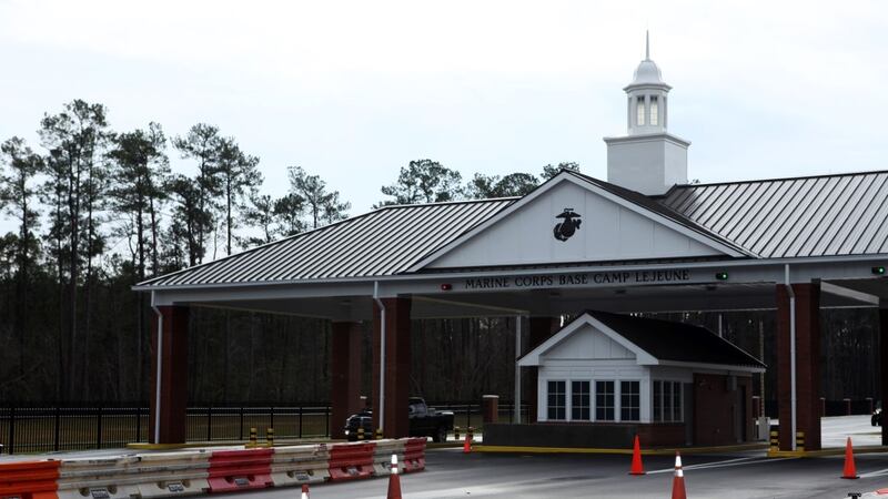 Marine vet pleads guilty to weapons charge in neo-Nazi power grid plot