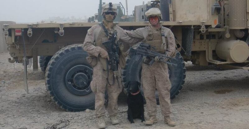 Two Marine Corps K-9s earn highest honor for military working dogs