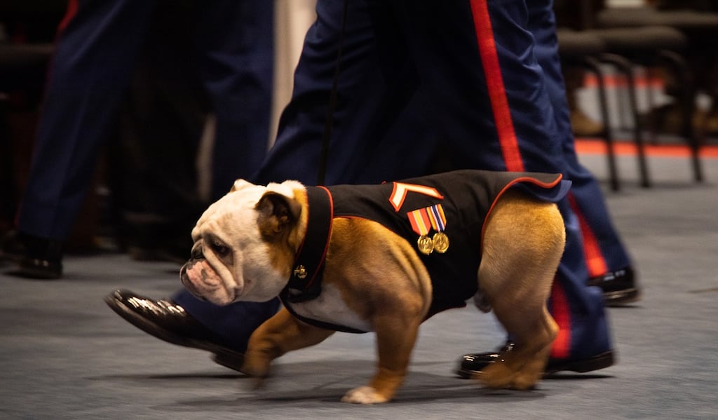 Marine Corps’ top dog promoted to private 1st class