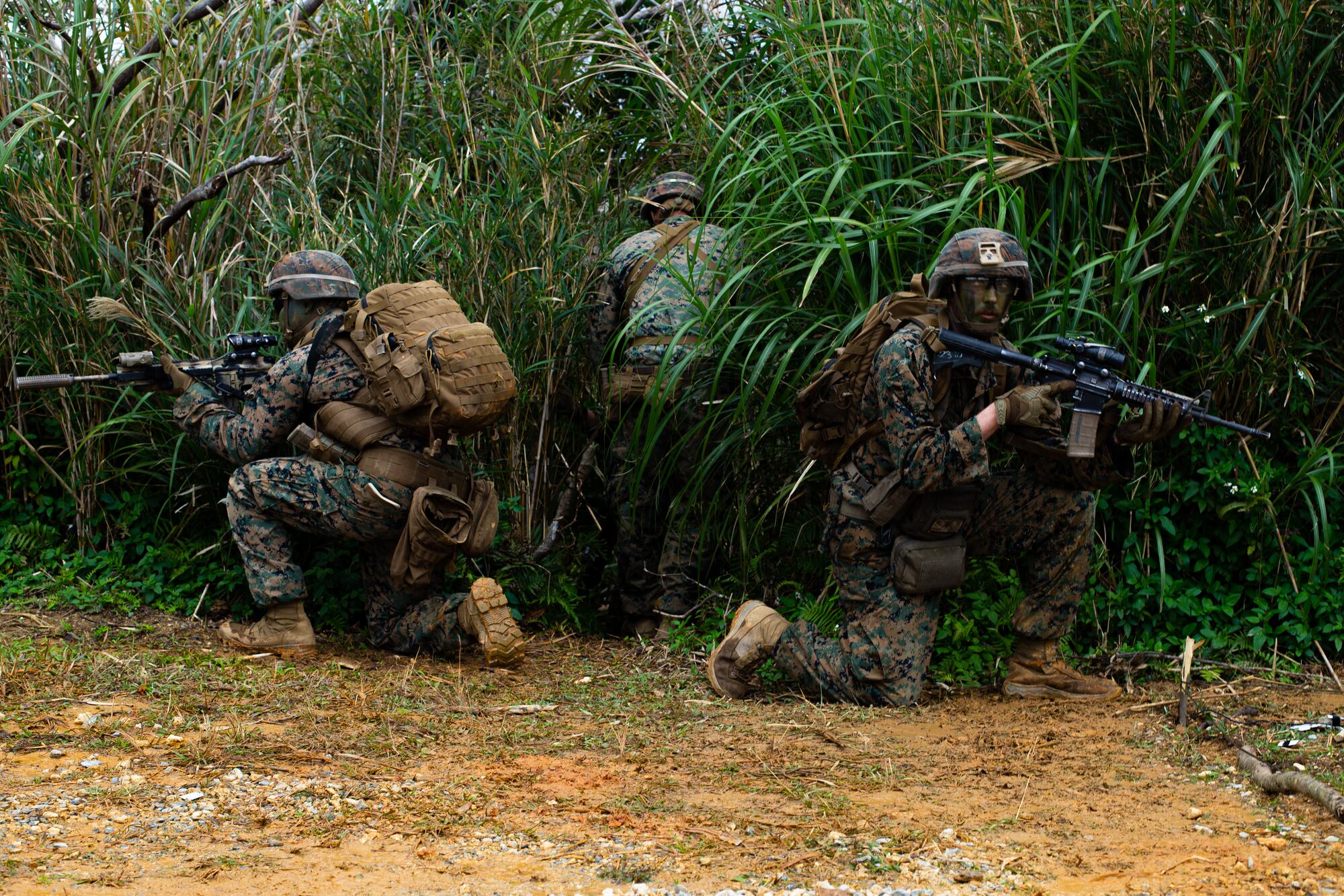 See highlights of Marines at a weeklong jungle warfare squad competition
